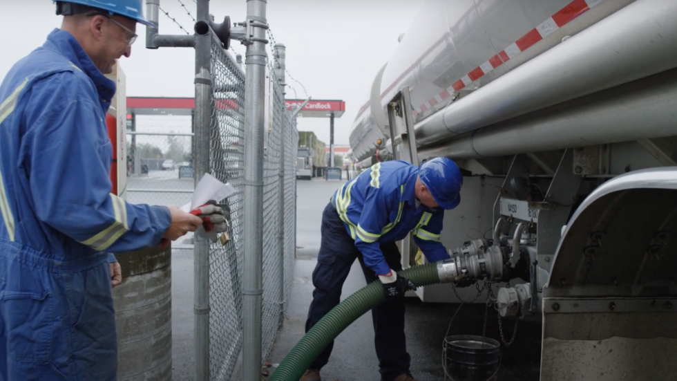 Home - Scamp Transport